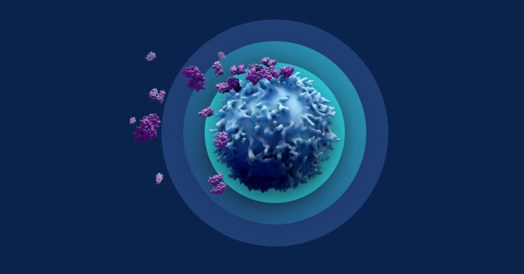 Driving Brand Transformation from the Inside Out - Beehive